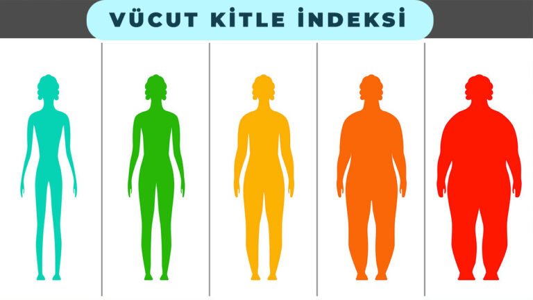 Vücut Kitle İndeksi (VKİ) Hesaplaması