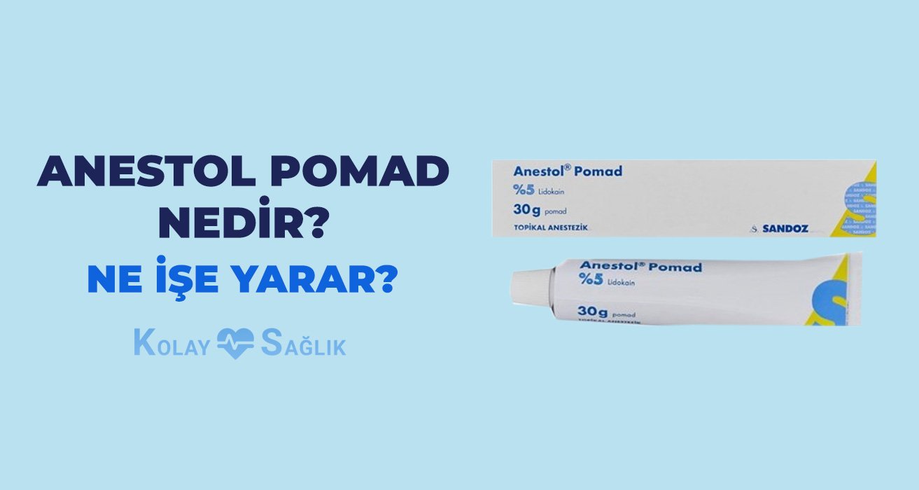 Anestol Pomad Nedir? Ne İşe Yarar? GÜNCEL FİYATI 2023 - Kolay Sağlık